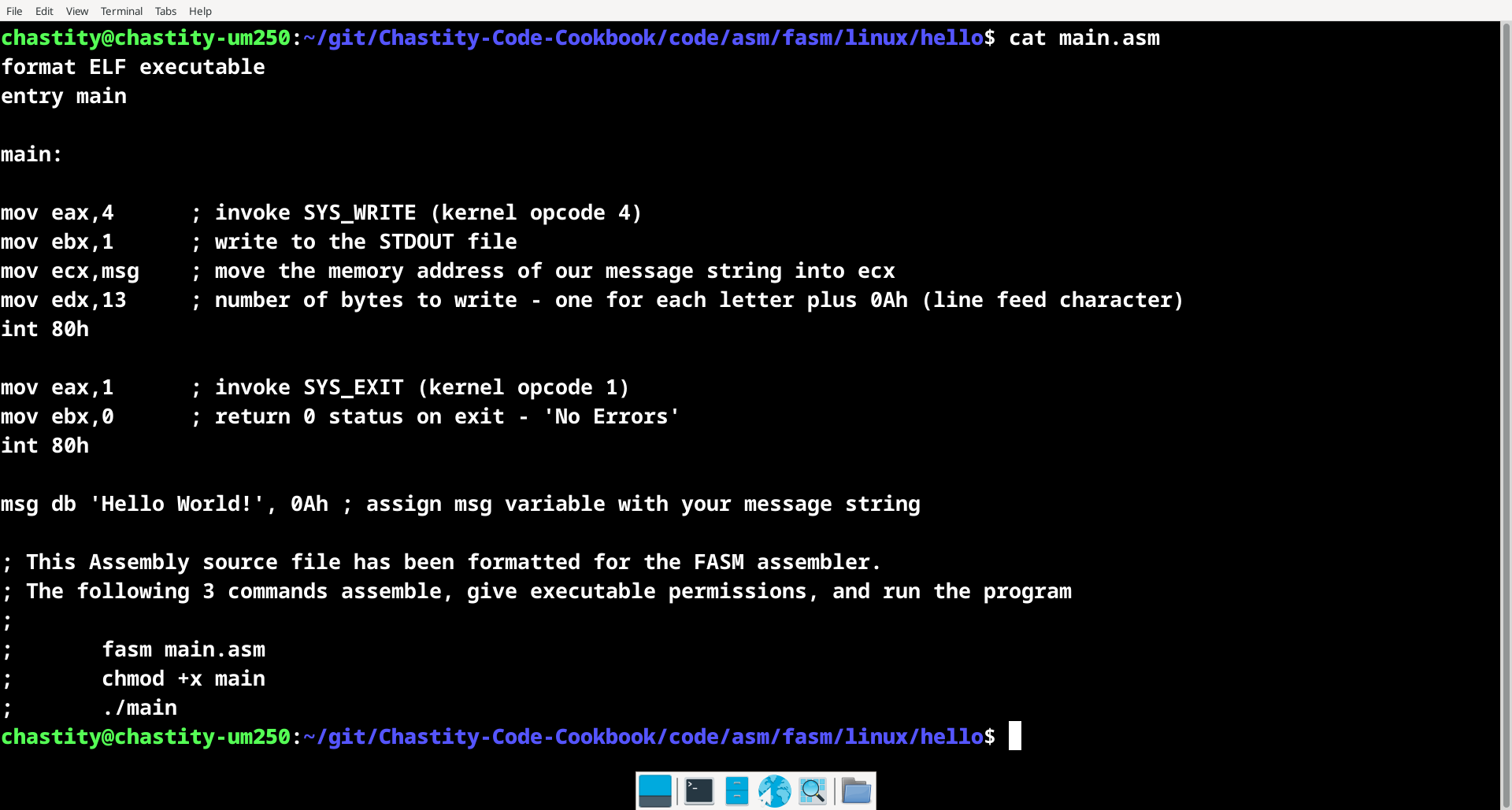 Two Linux Assembly Hello World Programs – Chastity White Rose